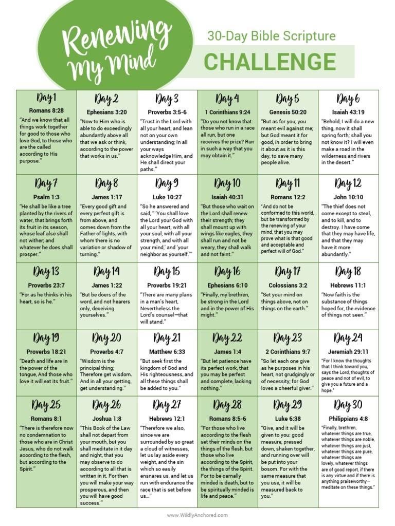 Challenge: Day 2 Day 3 Day 4 Day 5 Day 6 | PDF | Wisdom | Book Of Proverbs