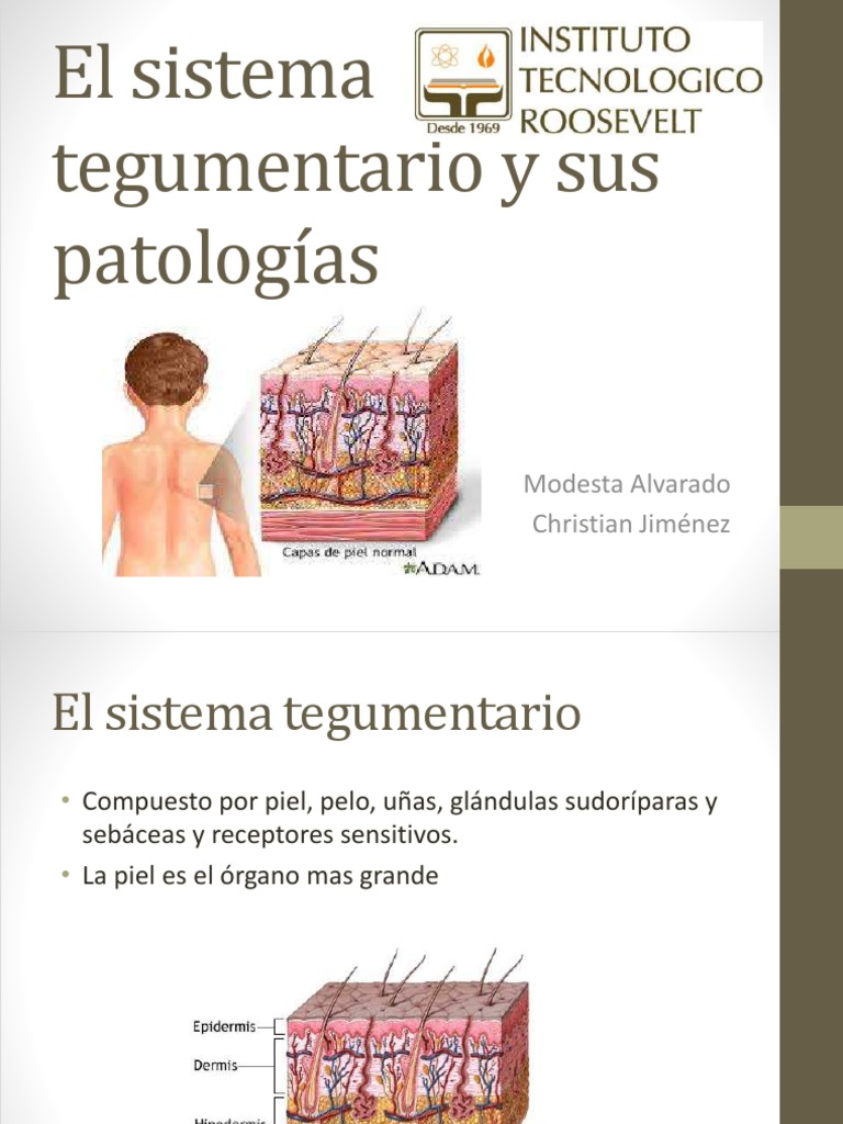 El Sistema Tegumentario y Sus Patologías: Modesta Alvarado Christian Jiménez | PDF | Cáncer | Piel