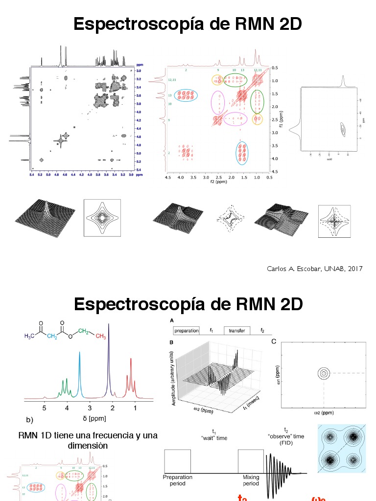 Clase 1 2 RMN | PDF | Two Dimensional Nuclear Magnetic Resonance Spectroscopy | Nuclear Magnetic ...