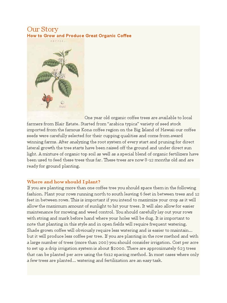 How To Grow Organic Coffee | PDF | Coffee | Trees
