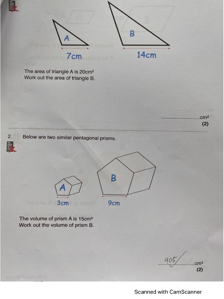 Exam Style Questions | PDF
