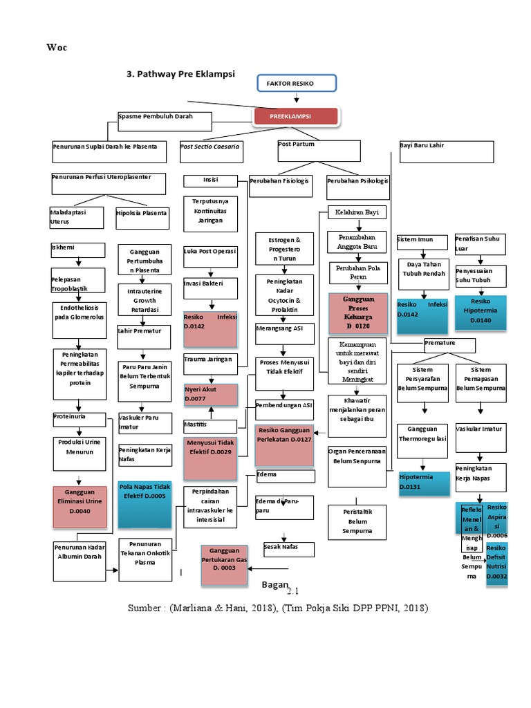 Woc 3. Pathway Pre Eklampsi: Bagan 2.1 Sumber: (Marliana & Hani, 2018 ...