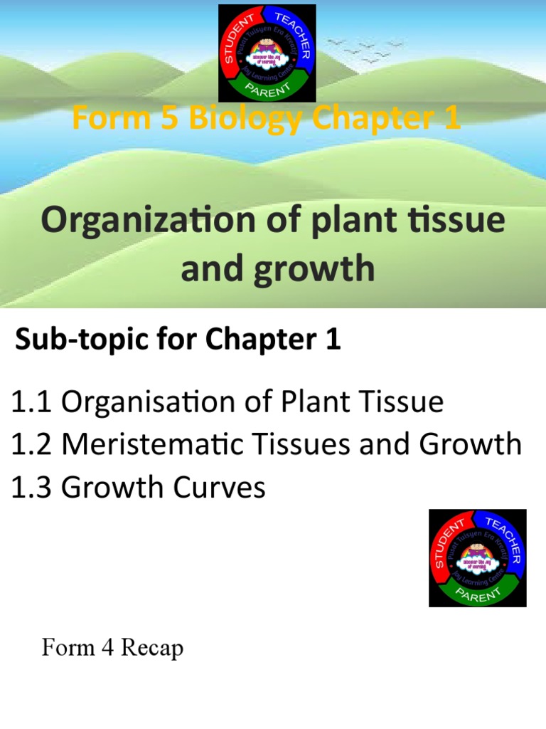 Form 5 Biology Chapter 1: Organization of Plant Tissue and Growth | PDF ...