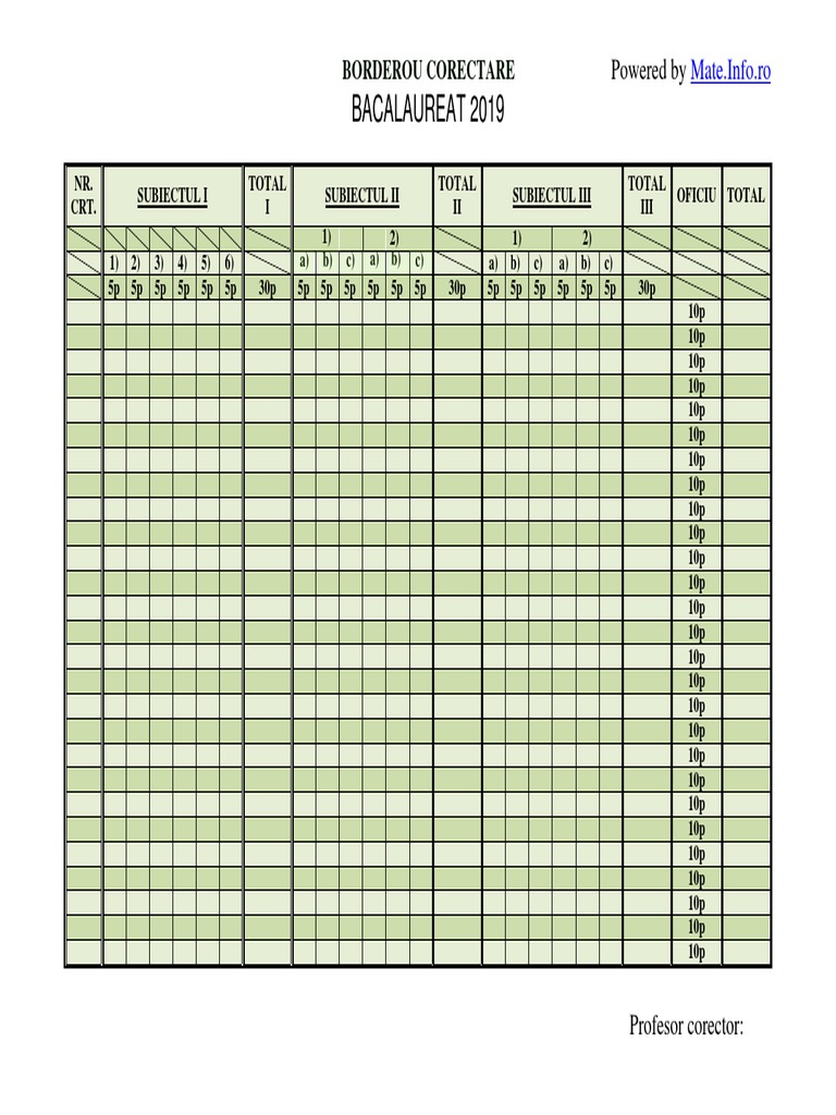 Mate - Info.ro.4661 Borderou Corectare BAC 2019 | PDF