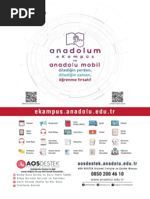 Abiyotik Faktörler Resimleri