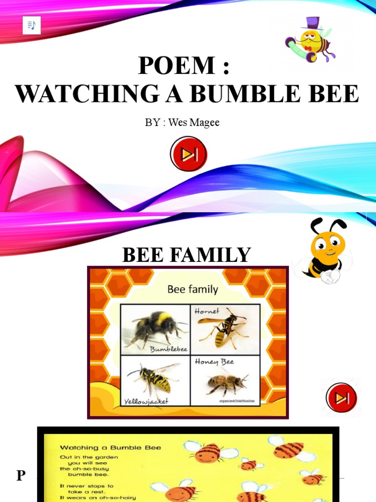 Poem: Watching A Bumble Bee: BY: Wes Magee | PDF | Poetry