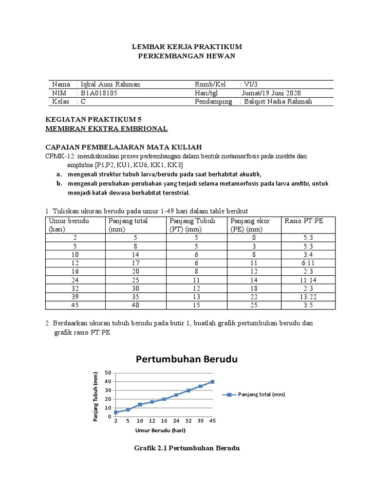 MET Iqbal Auni Rahman B1A018105 VI 3 | PDF