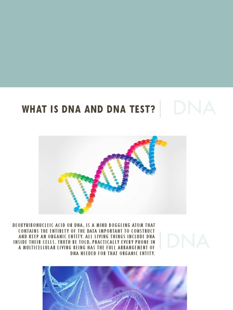 What Is DNA and DNA | PDF