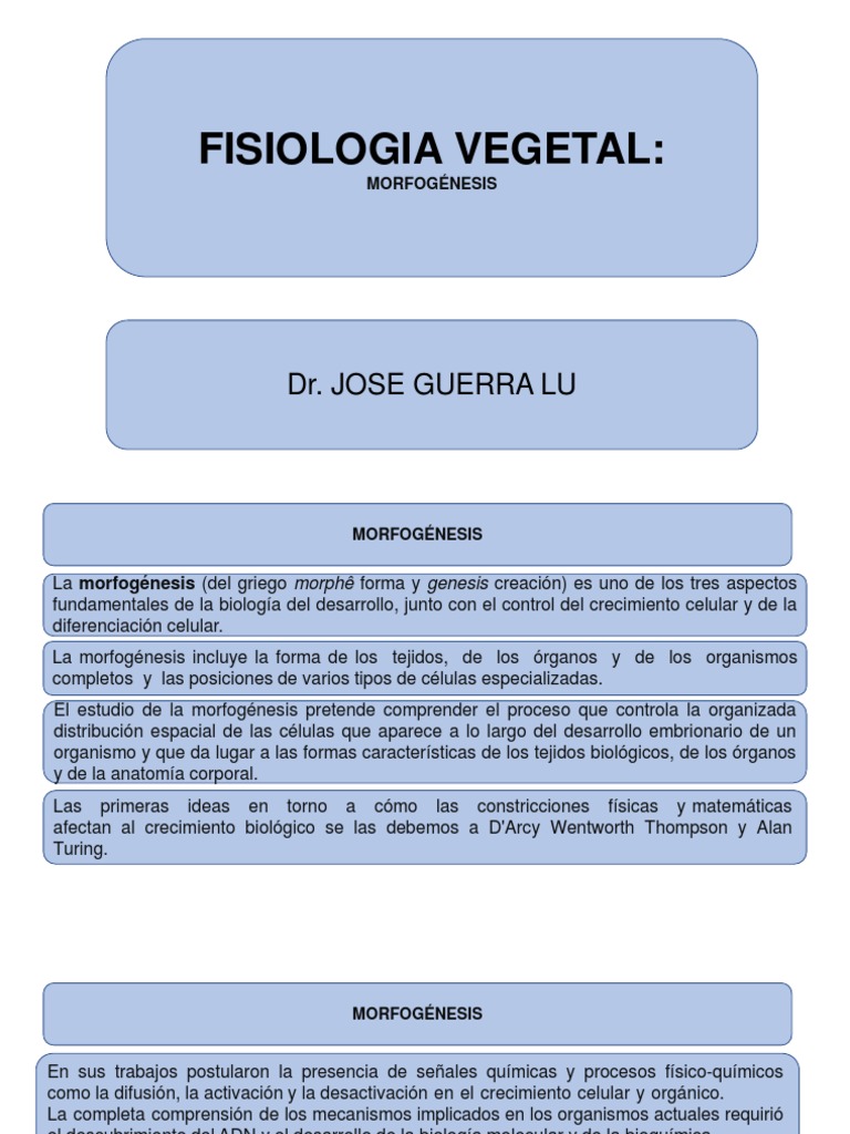 Morfogénesis en Plantas: Fundamentos y Procesos | PDF | Tallo de la ...