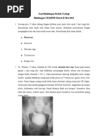 Contusio Musculorum | PDF