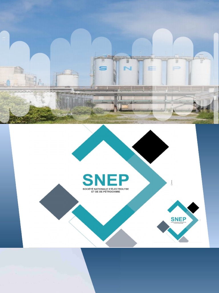 Snep | PDF | Maroc | Sociétés