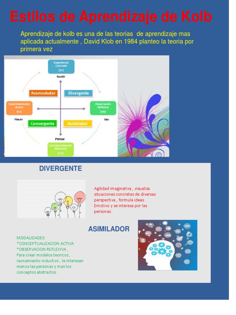 Infografia Kolb | PDF