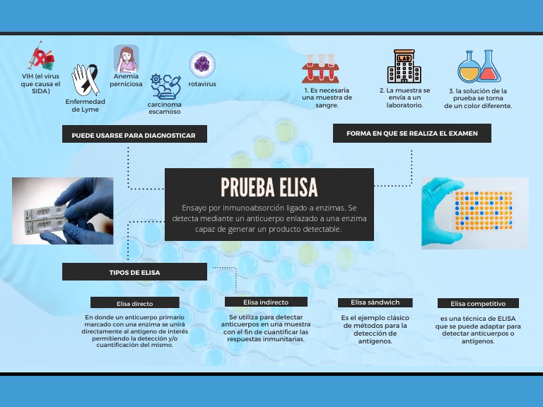 Mapa Mental Elisa | PDF