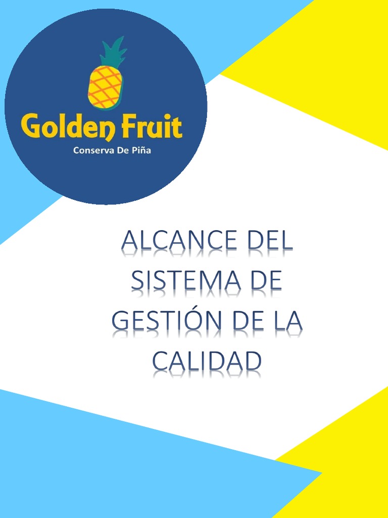 Alcance Del Sistema de Gestión de La Calidad | PDF | Gestión de la ...