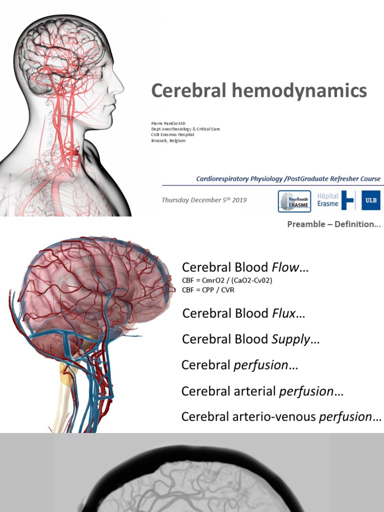Cerebral Hemodynamics | PDF | Vasodilation | Hemodynamics