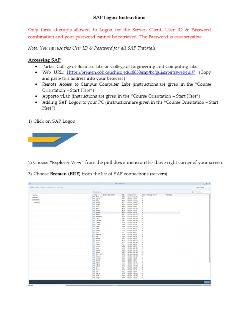 SAP Logon Instructions | PDF | Screenshot | Password