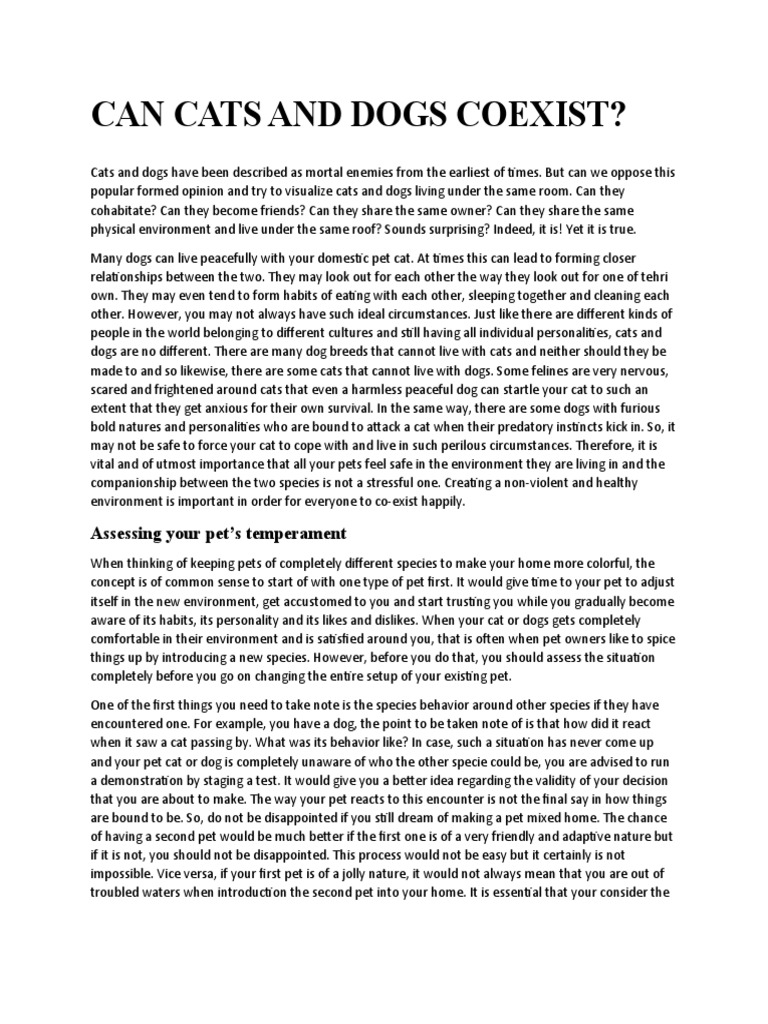 Can Cats and Dogs Coexist | PDF | Cats | Dogs