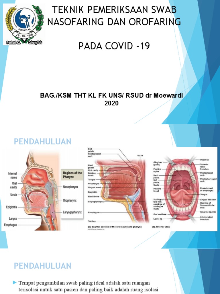 Teknik Pemeriksaan Swab Nasofaring Dan Orofaring | PDF
