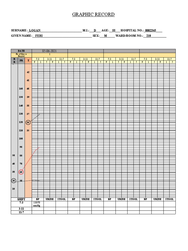 Graphic Record Sheet | PDF