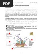 Cours 2-La Paroi Pectocellulosique PDF | PDF | Paroi cellulaire | Lignine