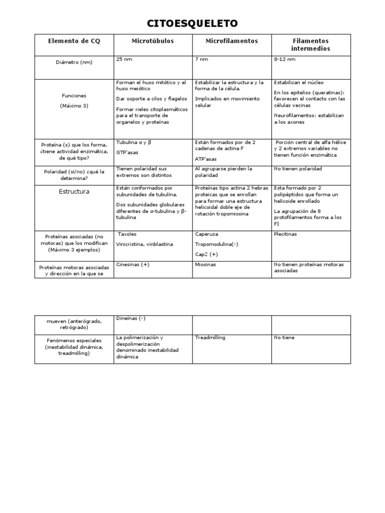 Cuadro Comparativo CQ | PDF | Actina | Citoesqueleto