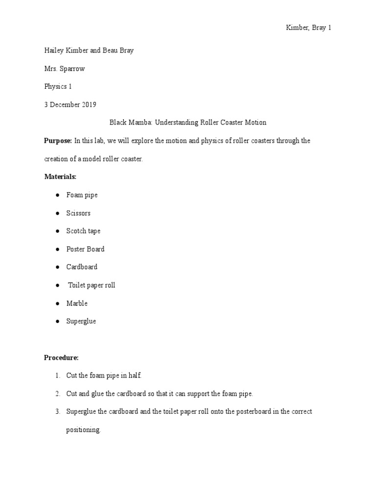 Roller Coaster Physics Lab Insights | PDF | Force | Acceleration