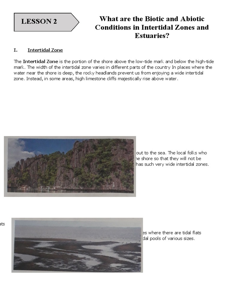What Are The Biotic and Abiotic Conditions in Intertidal Zones and ...