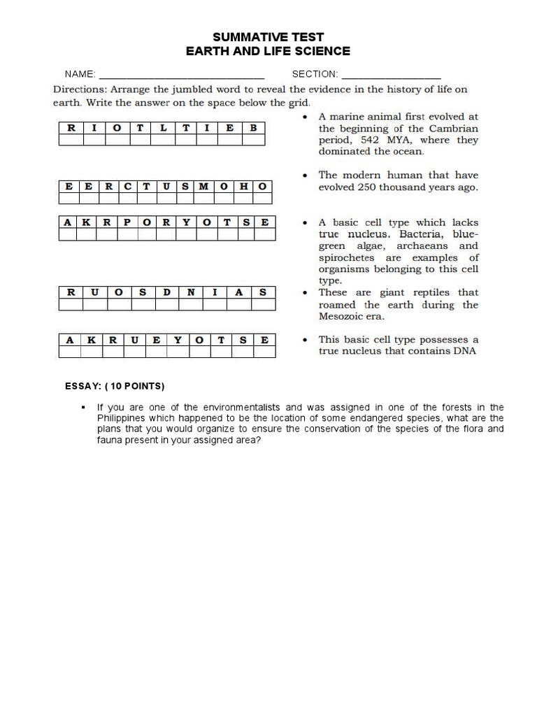 Summative Test Earth and Life Science: Essay: (10 Points) | PDF ...
