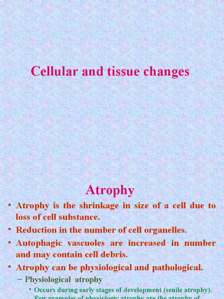 An In-Depth Look at Cellular and Tissue Changes: Atrophy, Hypertrophy ...