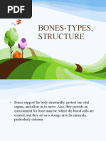 Classification of Bones | PDF