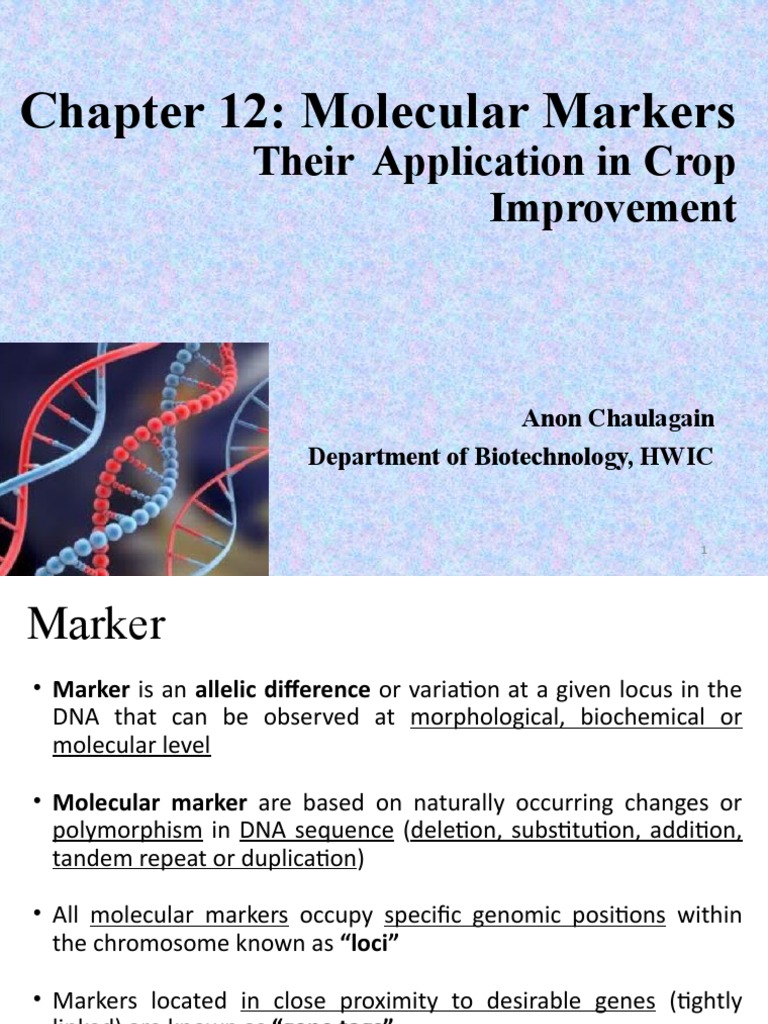 Molecular Markers in Crop Improvement | PDF | Microsatellite | Single ...