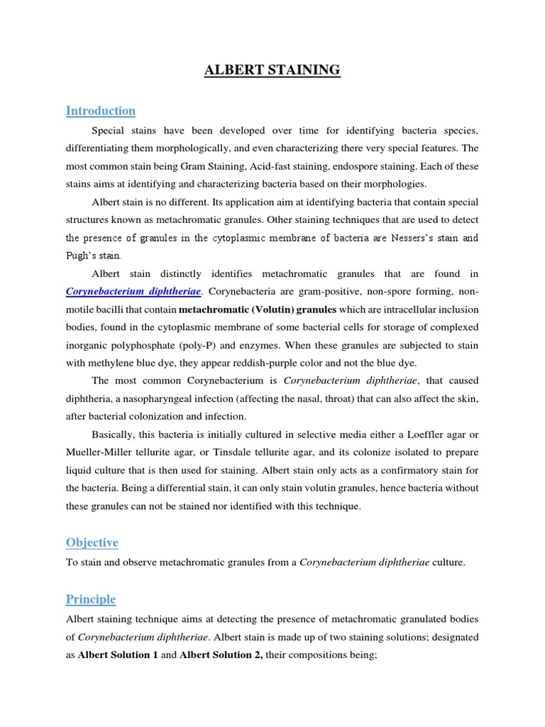 Corynebacterium Diphtheriae Albert Stain