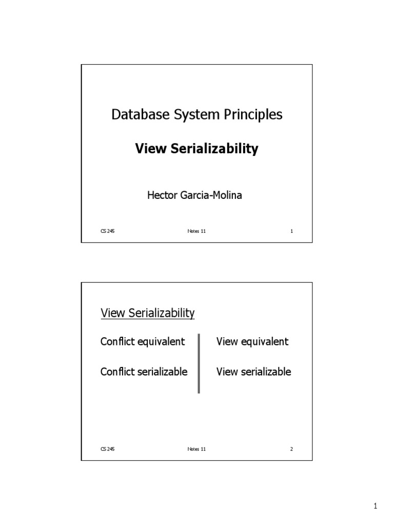 Database System Principles: View Serializability | PDF | Distributed Computing | Computational ...