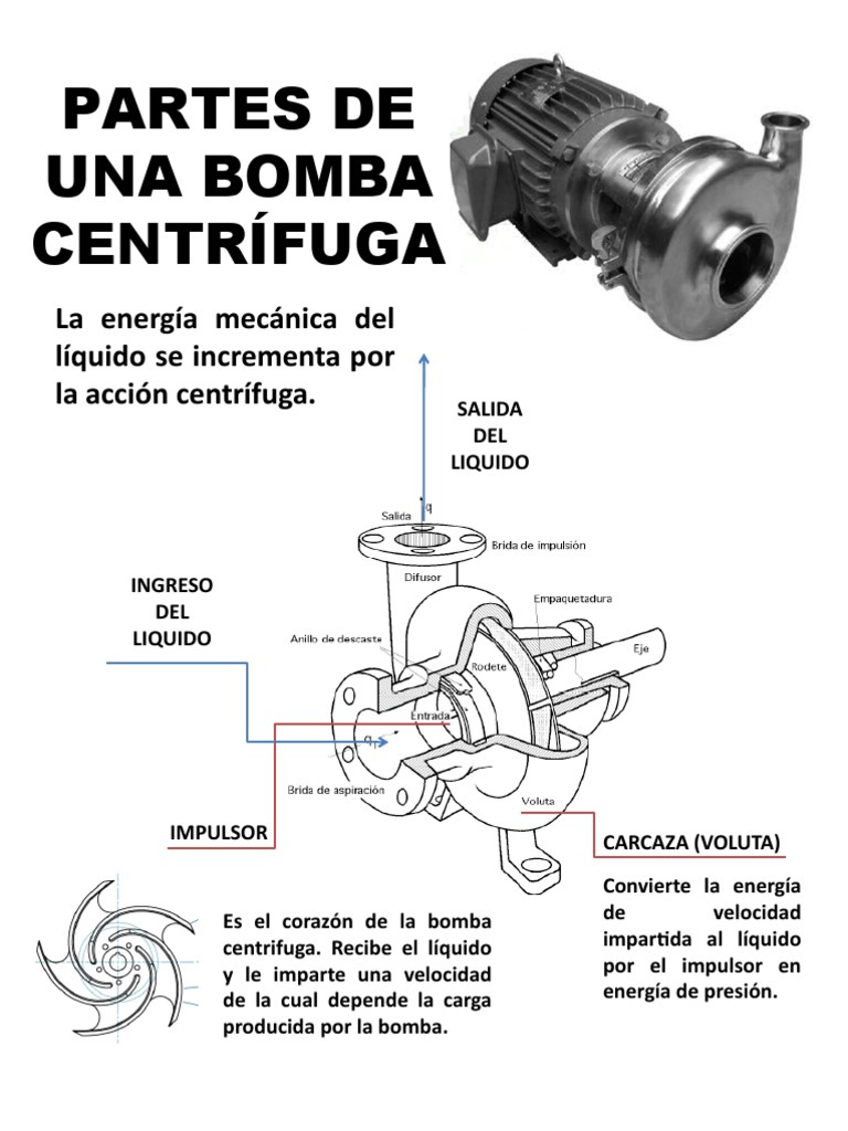 PARTES DE UNA BOMBA CENTRÍFUGA | Bomba | Ingeniería mecánica