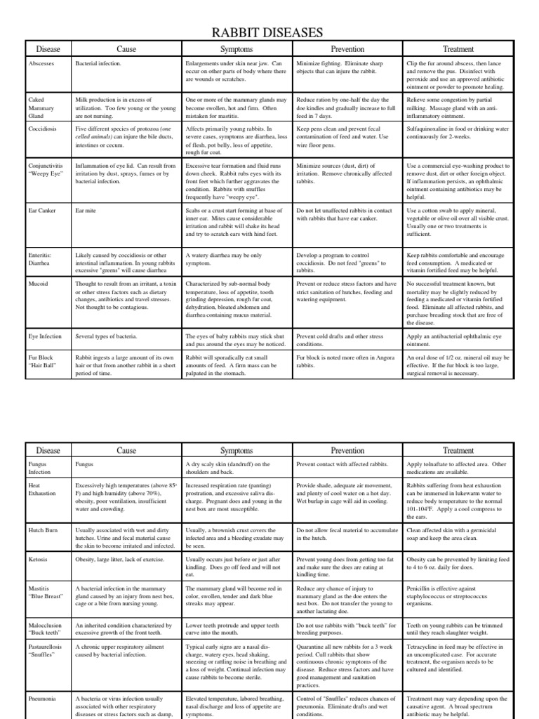 Rabbit Diseases: Disease Cause Symptoms Prevention Treatment | PDF ...