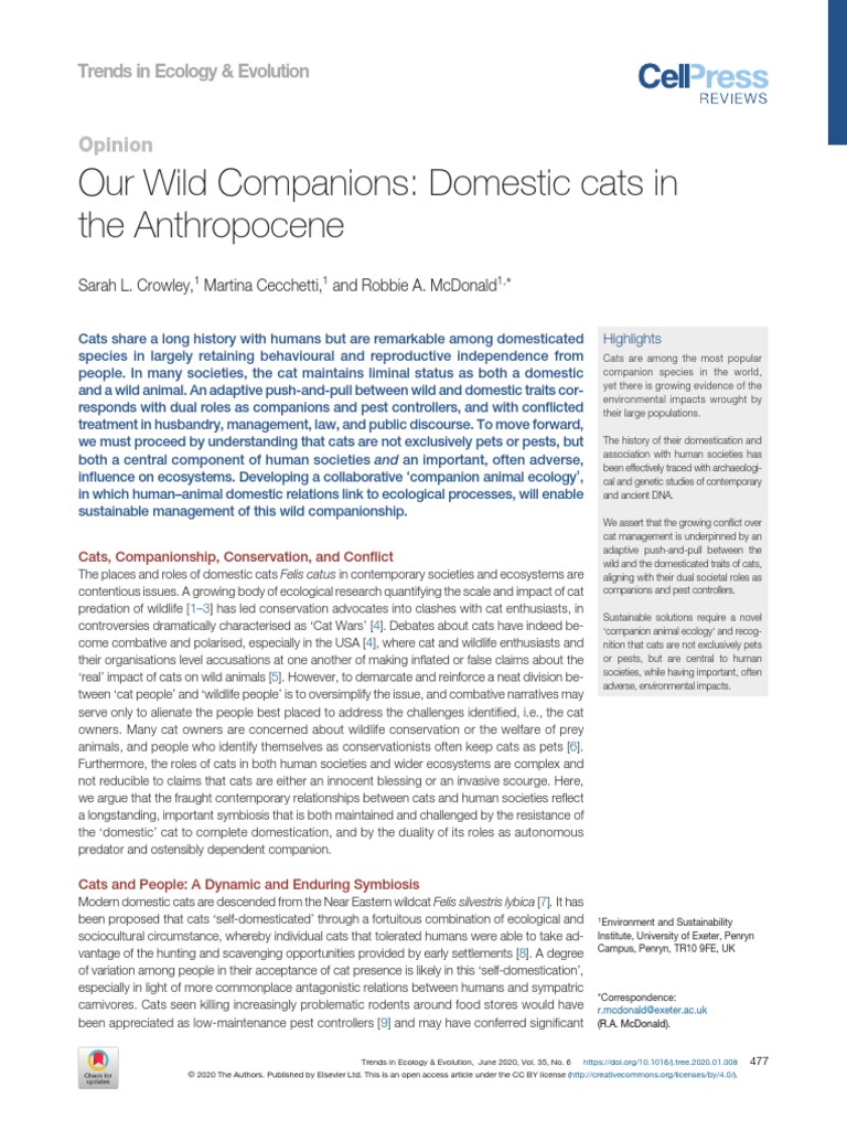 Our Wild Companions: Domestic Cats in The Anthropocene: Opinion ...