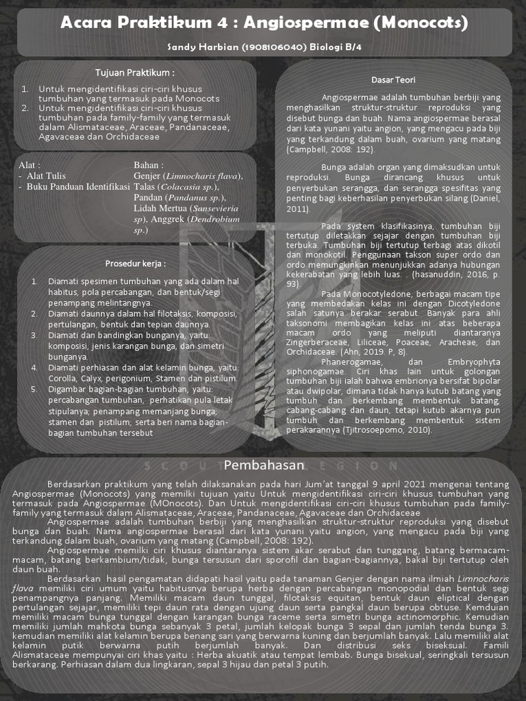 B - Sandy Harbian - Acara Praktikum 4 | PDF