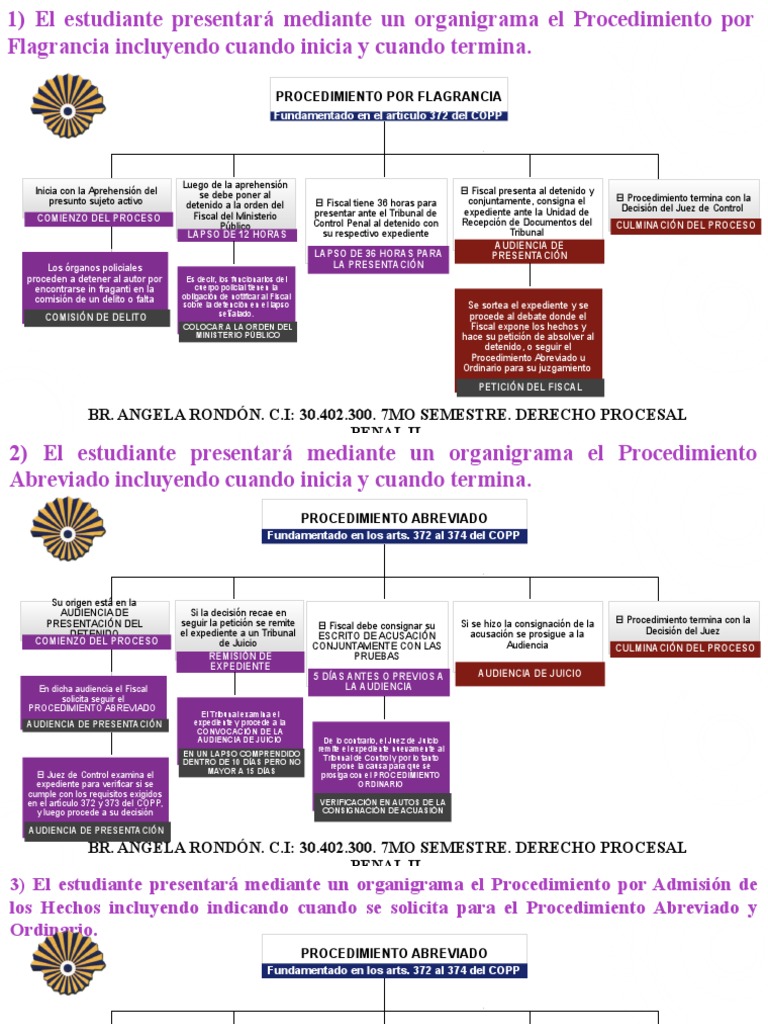 Procedimiento Penal Abreviado y Por Flagrancia | PDF | Derecho penal | Política
