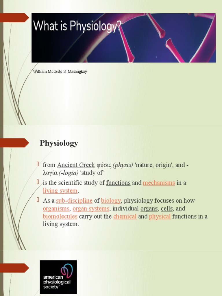 The Physiologic Support System | PDF | Human Body | Skin