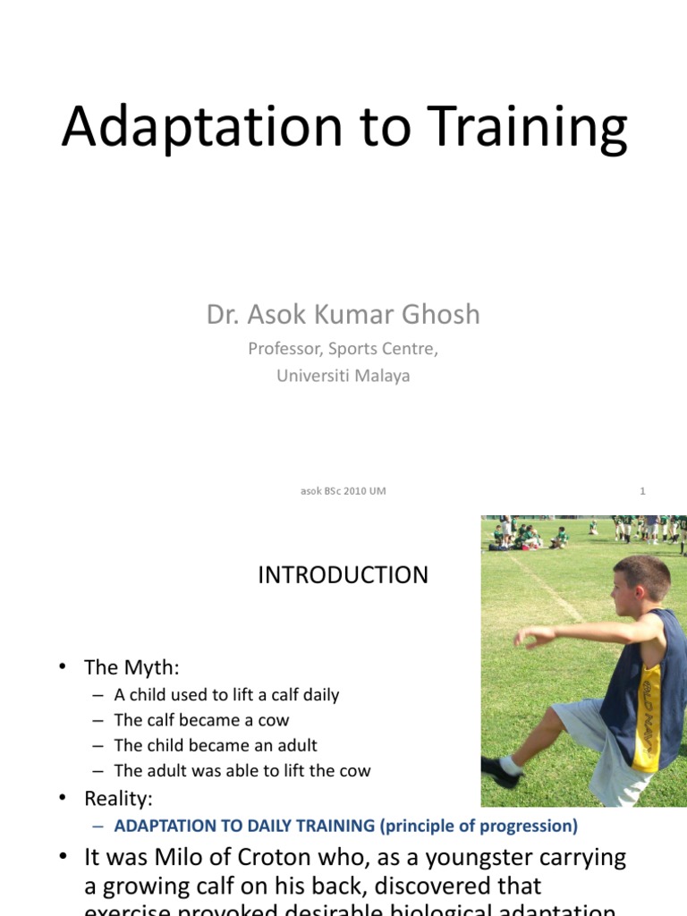 Principles of Training Adaptation | PDF | Heart | Blood