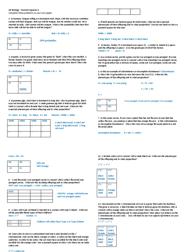 Complete These Problems On Your Own Paper.: AP Biology: Punnett Squares ...