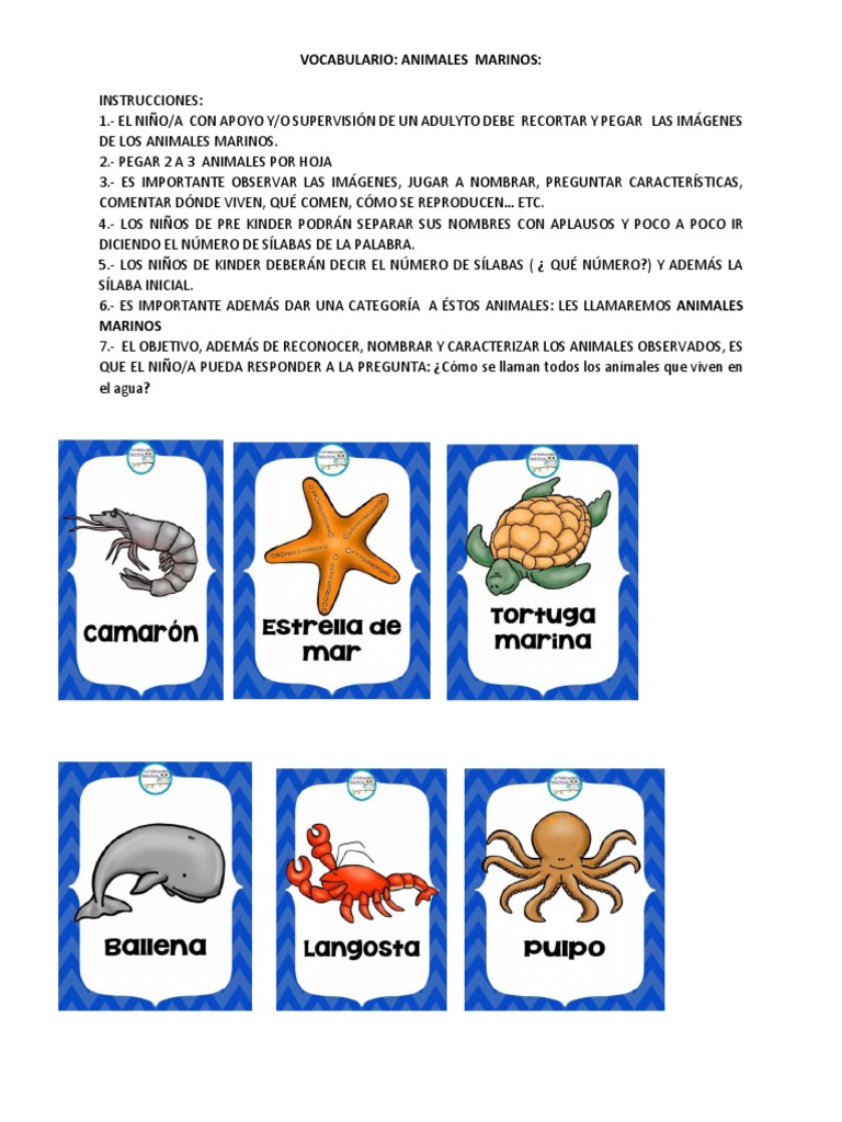 Vocabulario Animales Marinos | PDF
