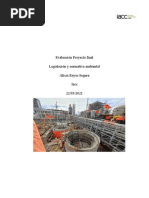 Diagrama de Flujo Contaminacion Ambiental | PDF