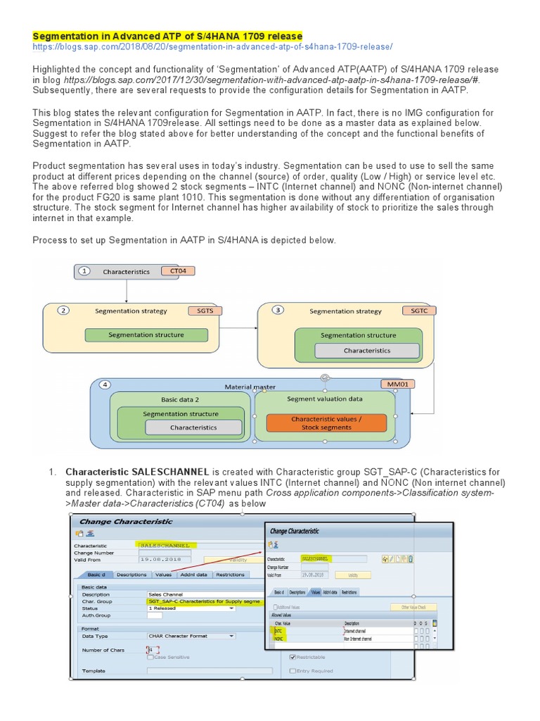 Segmentation Setup in AATP S/4HANA 1709 | PDF | Market Segmentation | Internet