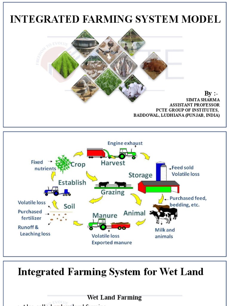 Integrated Farming System Model | PDF | Crops | Rice