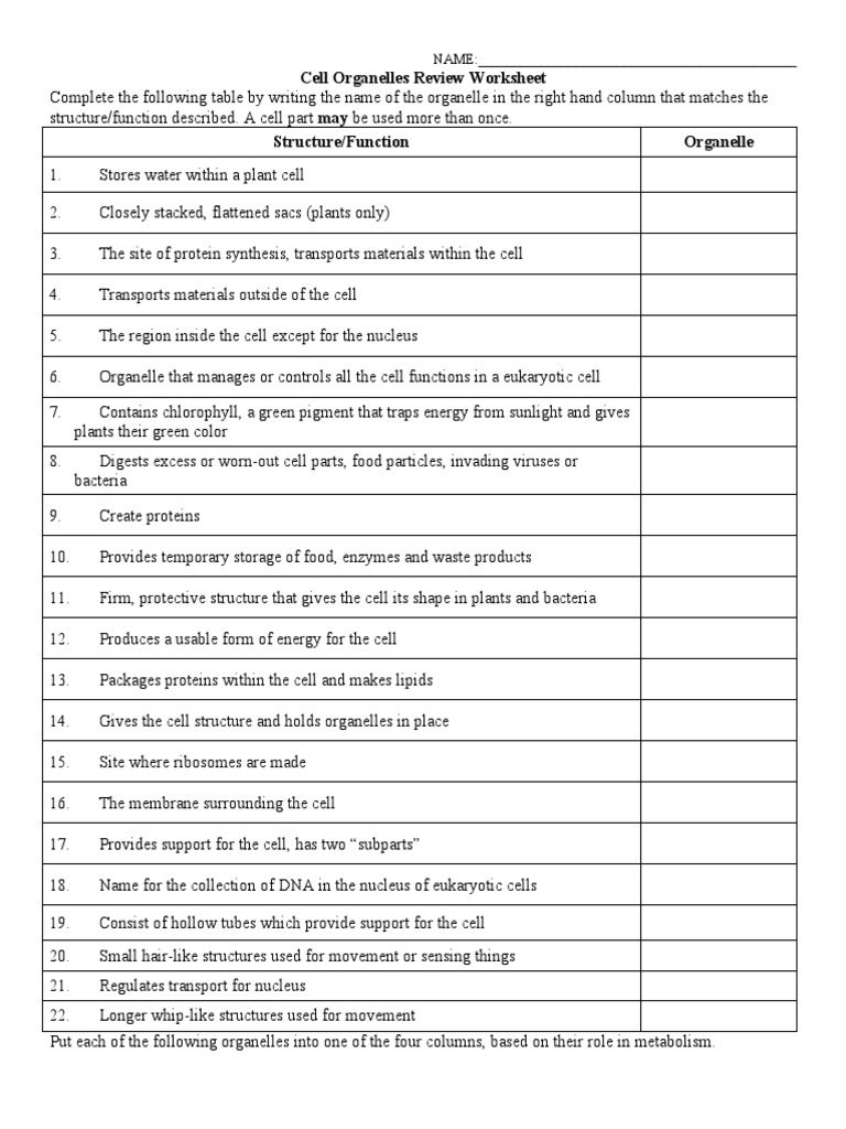 Cell Organelles Review Worksheet | PDF | Organelle | Cell (Biology)