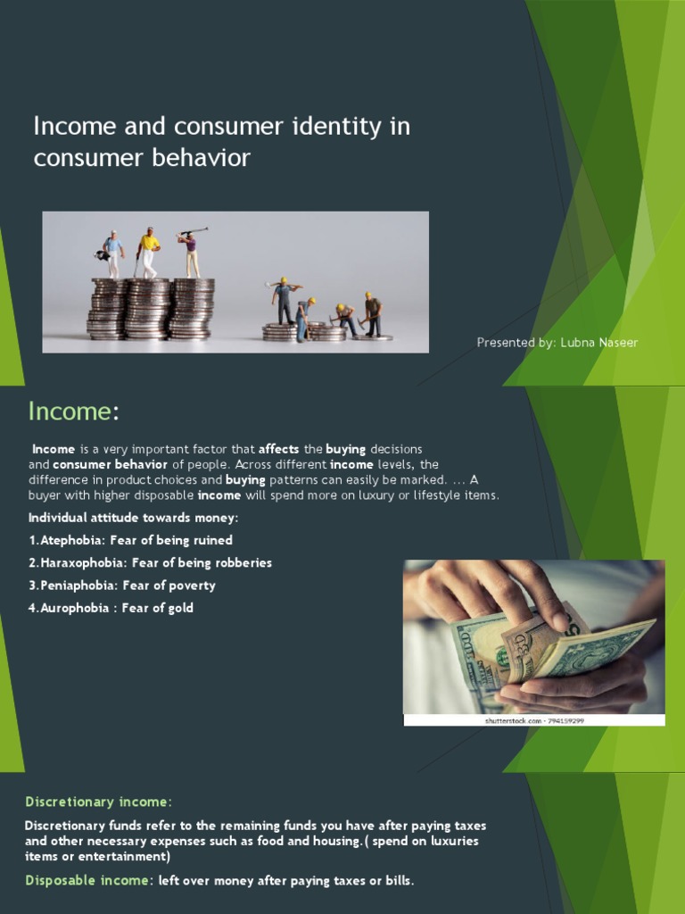 Income and Consumer Identity in Consumer Behavior | PDF | Consumer ...