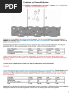 Nova Evolution Lab ANSWER KEYMissions1-3 PDF | PDF | Dinosaurs | Evolution