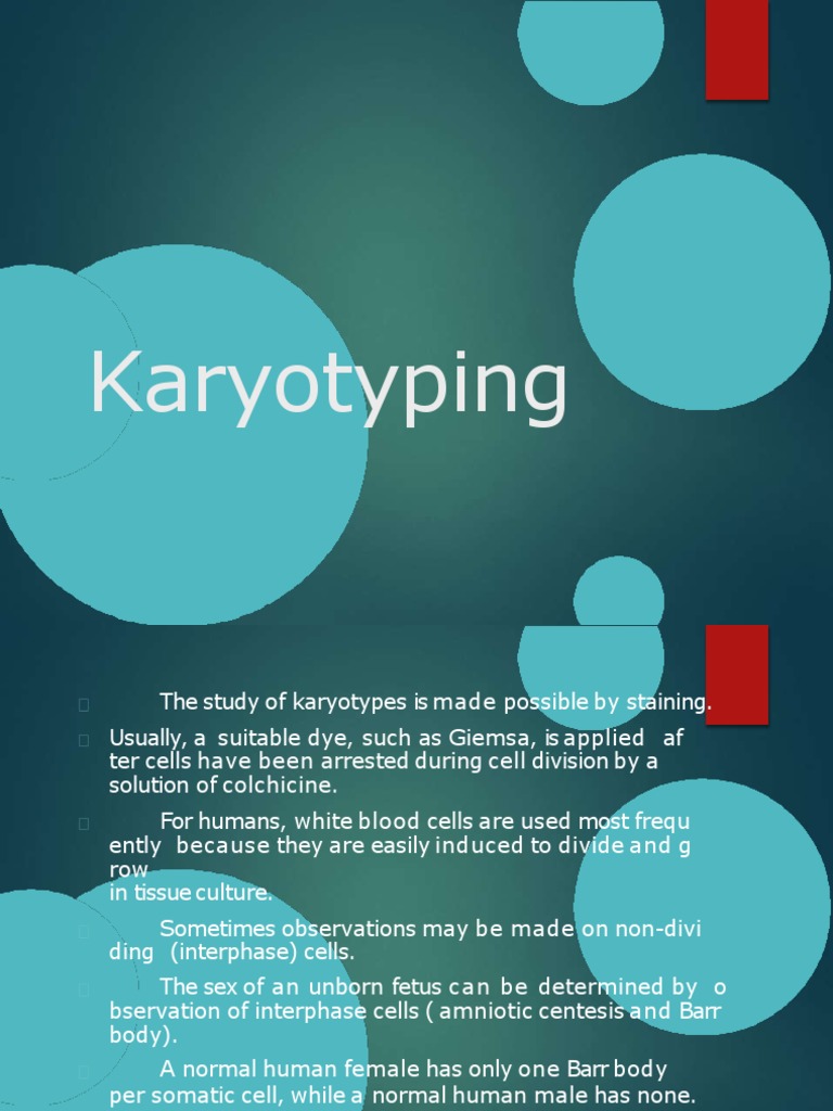Karyotyping: Techniques and Analysis | PDF | Karyotype | Ploidy