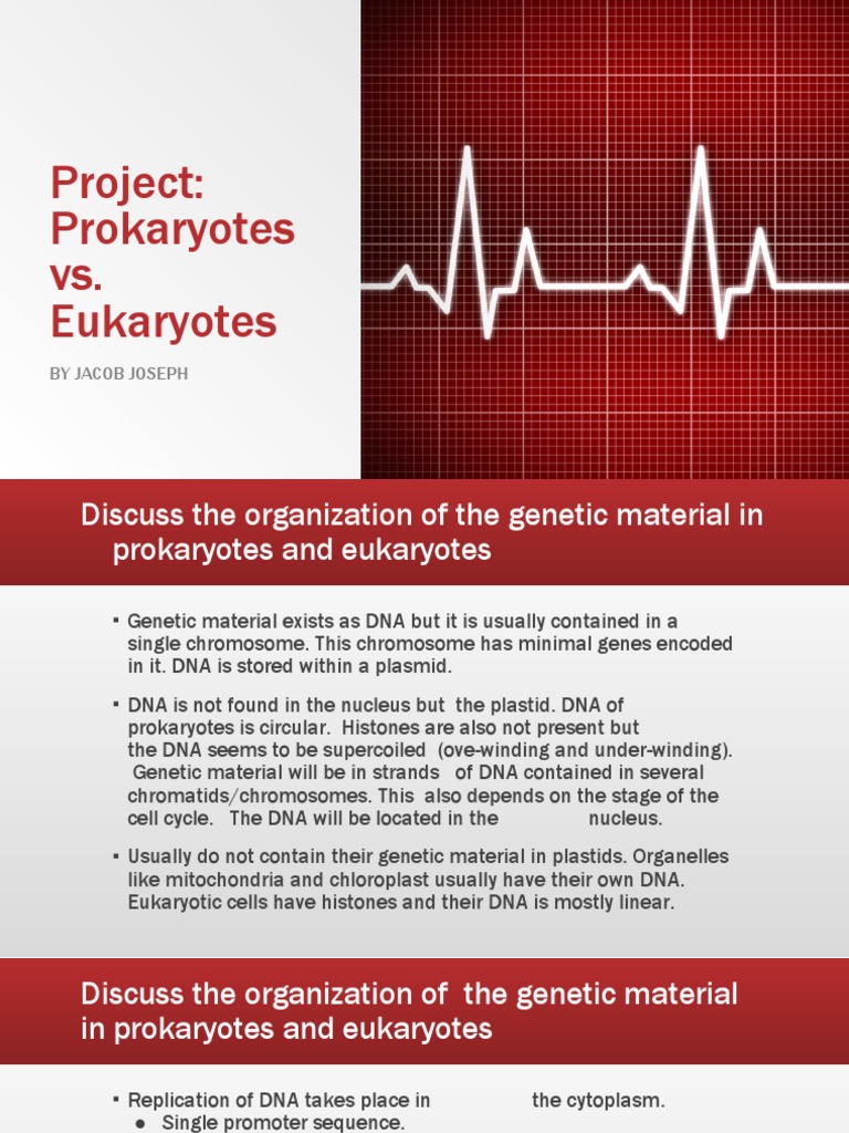 Pro Vs Euk | PDF | Gene | Cell (Biology)